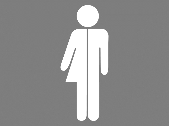Trump administration lifts transgender bathroom guidance | cbs19.tv