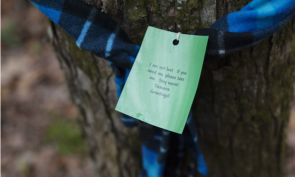 Free scarves available to cold runners on a Rose Rudman trail | cbs19.tv